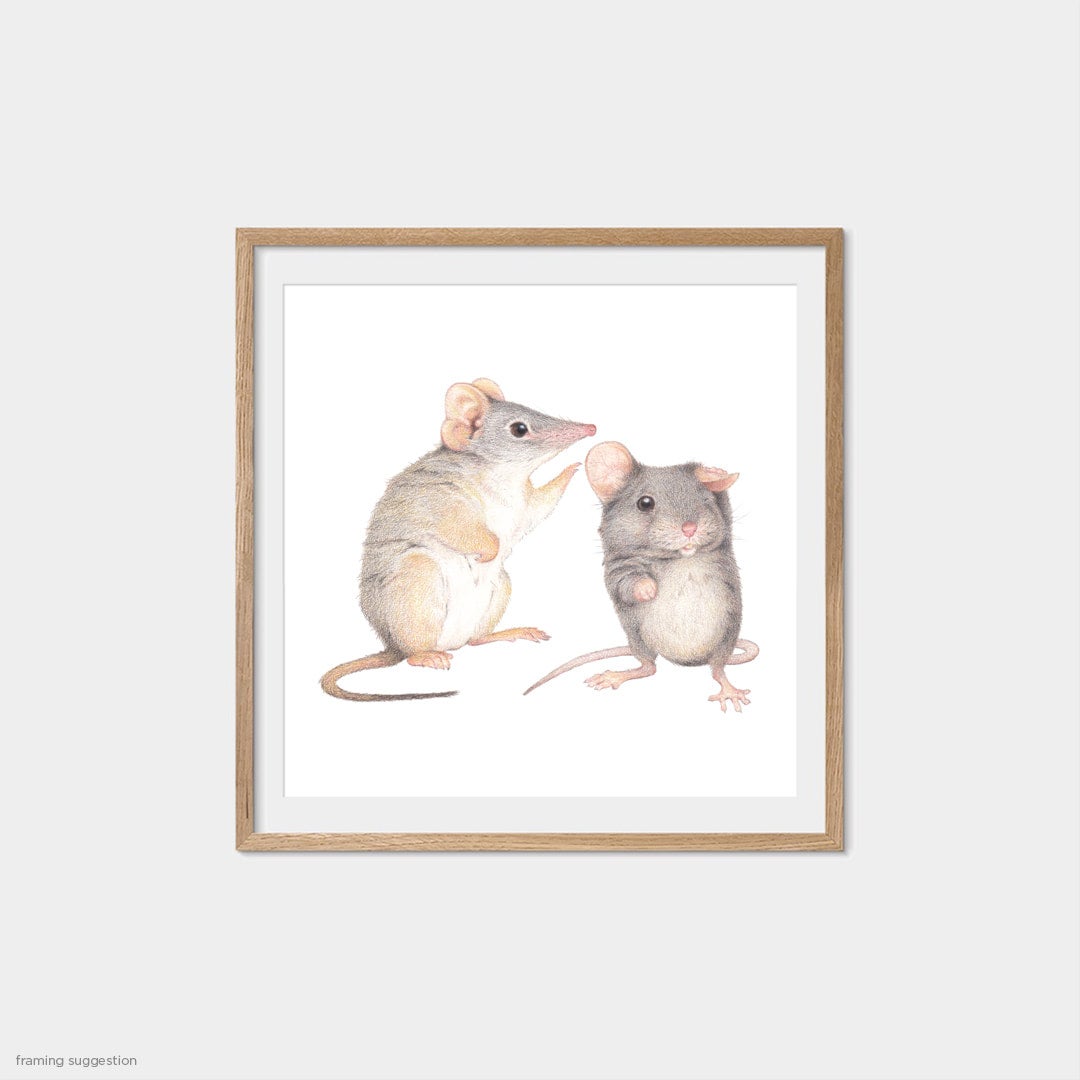 Original Antechinus and Mouse Pencil Drawing | Critterarty