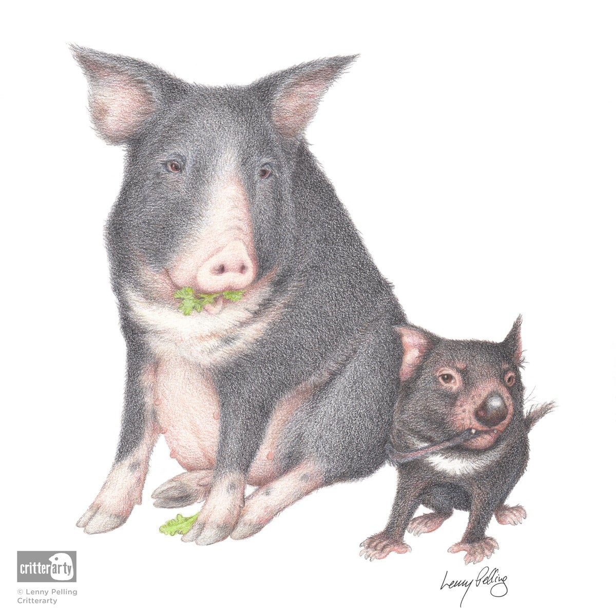 Tasmanian Devil and Pig Art Print | Critterarty