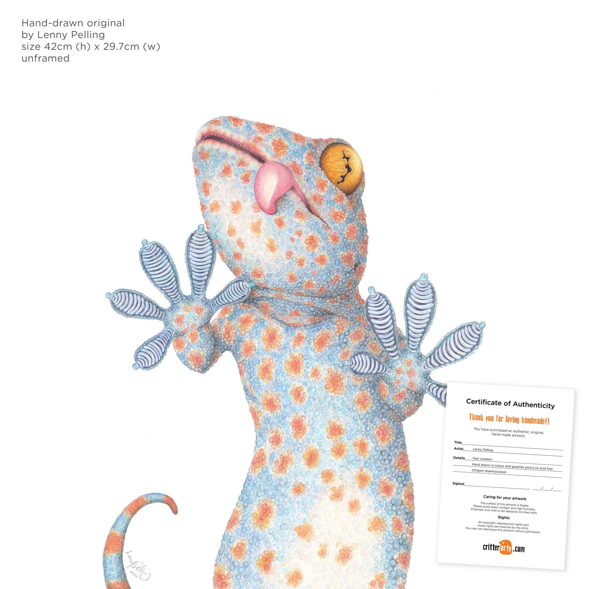 Original Tokay Gecko Pencil Drawing | Critterarty
